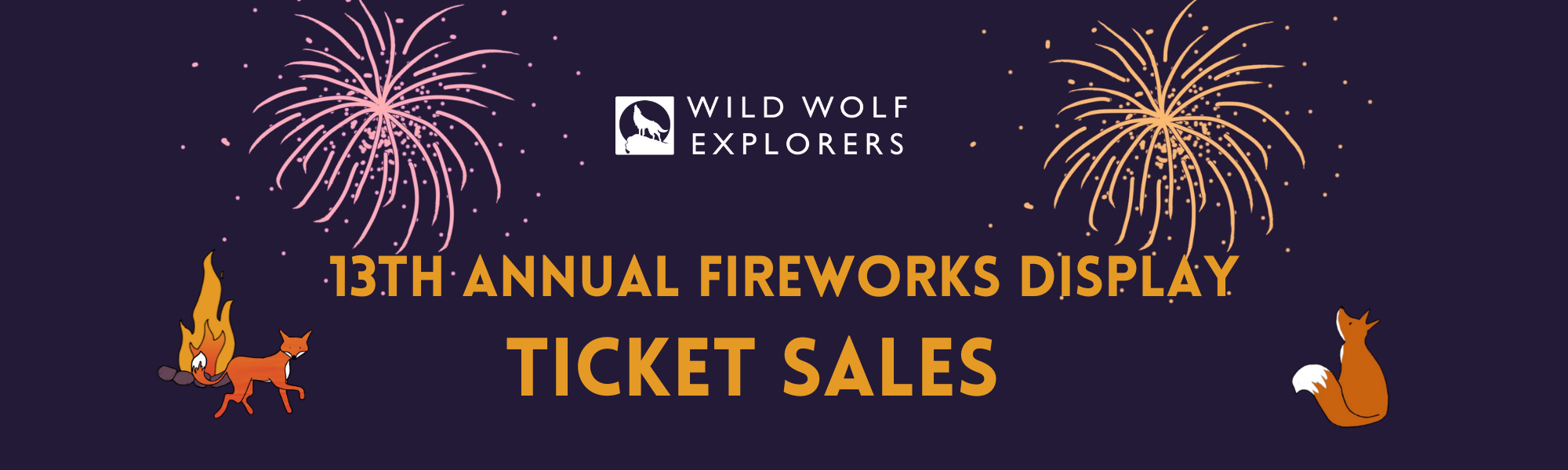 Ticket | Fireworks Display 2024
